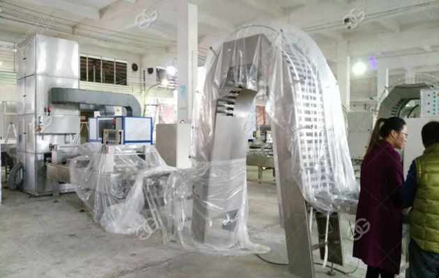 Automatic Wafer Biscuit Production Line Features